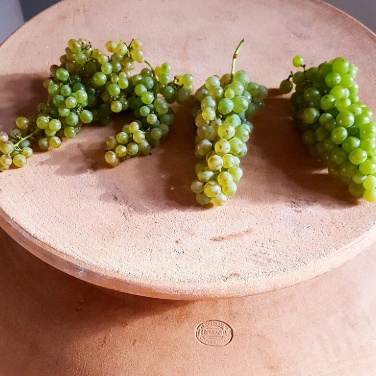 An amphora odyssey - Billy Button Wines